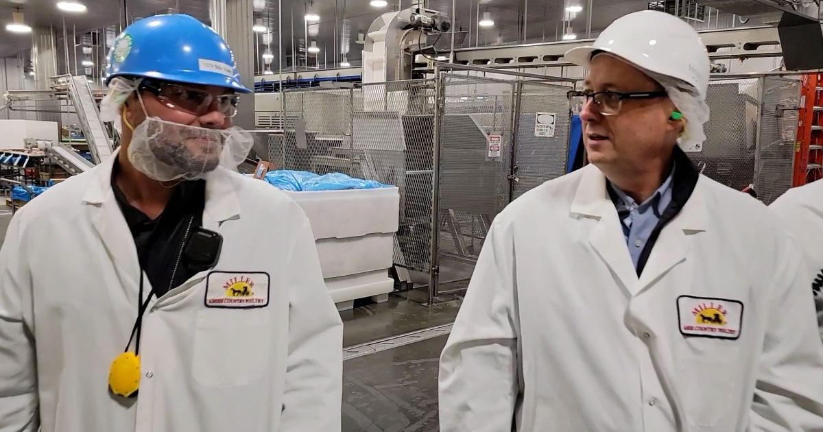 Ossid NextGen 500E Tray Overwrapper | Ossid