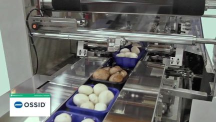 High Speed Stretch Overwrapper 500Si - Overwrapping Machinery | Ossid